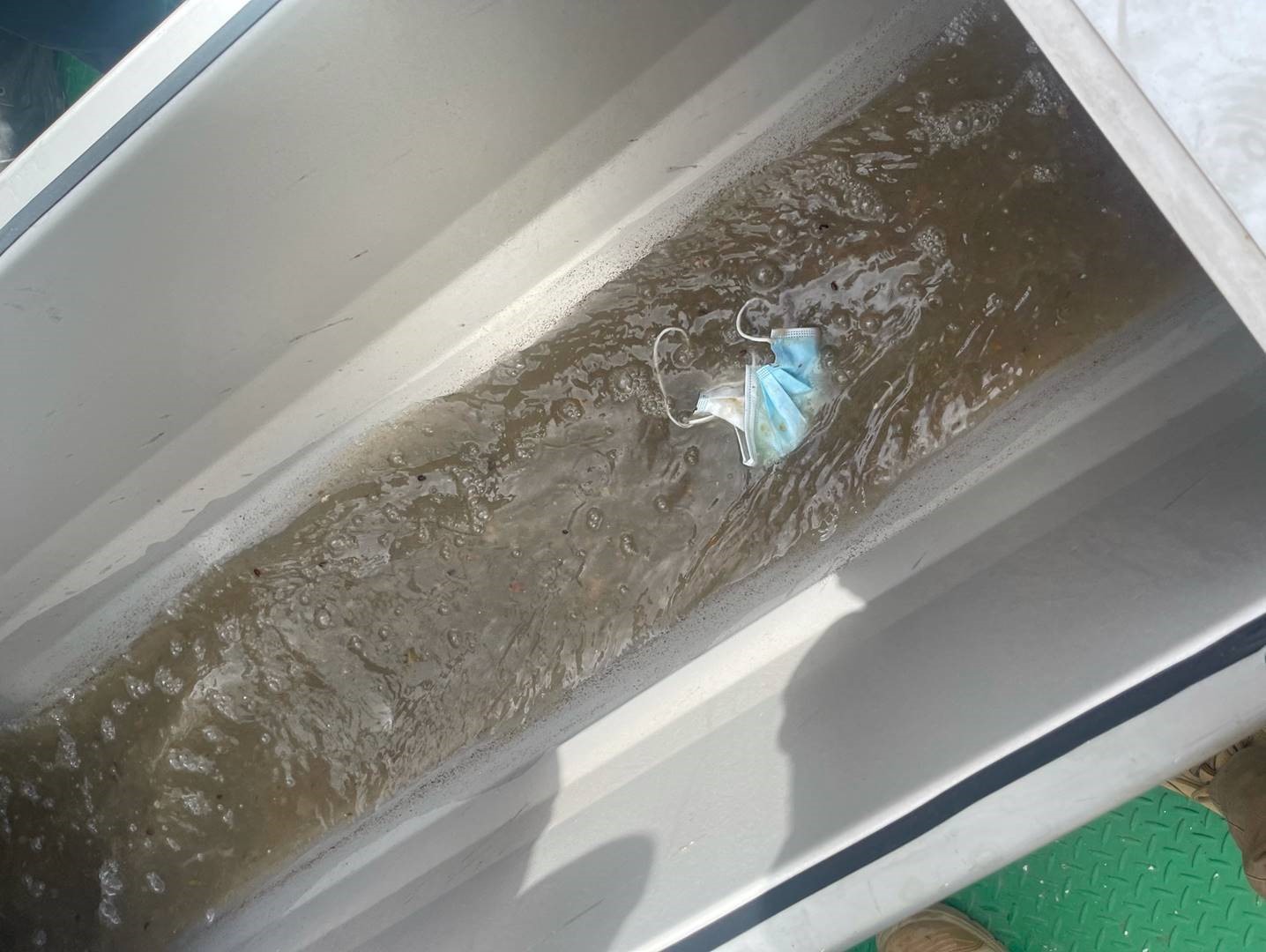 Residents urged not to flush disposable face masks after sewer sightings