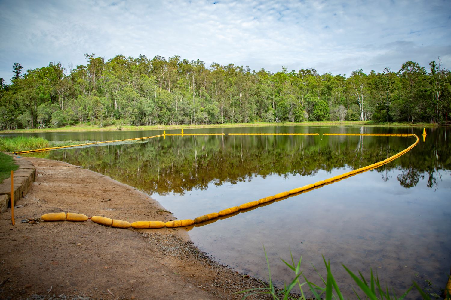 Our regions’ five top swim spots this spring